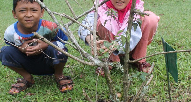 ISLAM DAN FILSAFAT LINGKUNGAN – Official Website DR. Arif Zulkifli Nasution