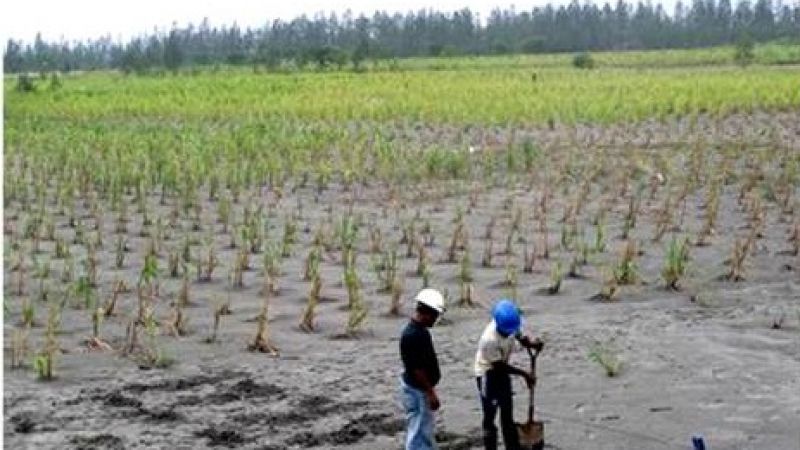 Reklamasi Tambang atau Mine Reclamation | DR. Arif Zulkifli Nasution